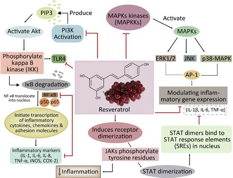 Exploring The Multimodal Health‐promoting Properties Of Resveratrol A