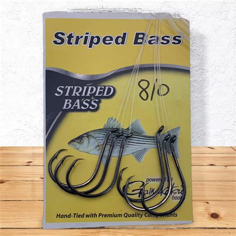 Striped Bass Fishing Rigs