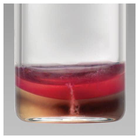 Thermo Scientific Enterococcus Group A Strep Screen No Of Tests Microbial Fisher Scientific