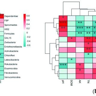 Relative abundance of soil bacterial community under the different ...
