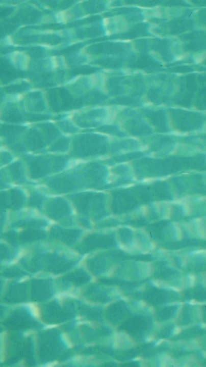 Bank D On Linkedin Opentowork Immediatelyavailable