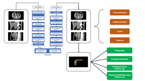 Deep Learning For Pancreas Segmentation A Systematic Review Ai Research Paper Details