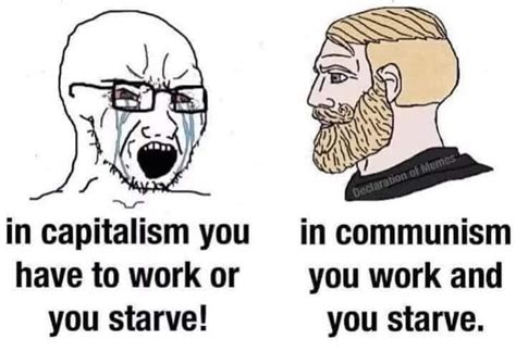 The Best Shekels Memes Memedroid