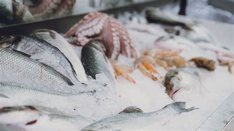 Los Pescados Más Seguros Y Con Menos Mercurio Según El Csic Uppers
