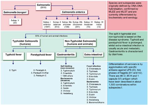 Medical Microbiology
