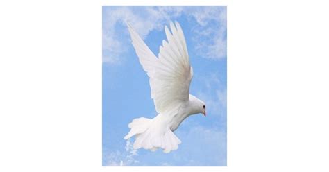 Linda Abrams Obituary 1948 2025 Cincinnati Oh Link Nky