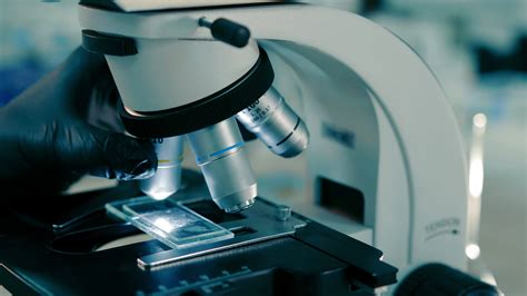 Replacing The Microscope Lens Close Up Of Examining Samples Under A