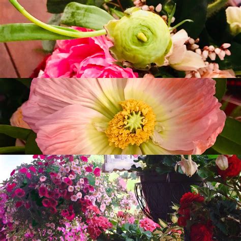 Spring R Photography