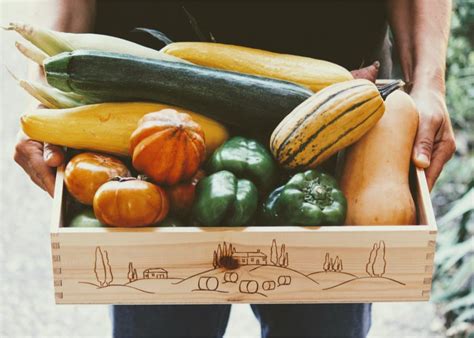 50 Fascinating Facts About Farming In America Stacker