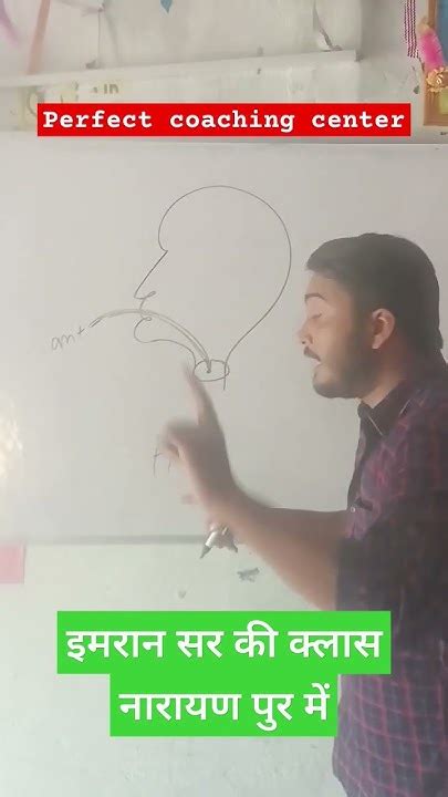 Article Class Youtube