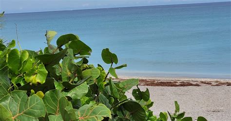 Janes History Nook South Floridas Skipper Chuck More Than Popeye Playhouse