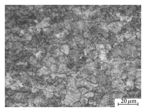The Microstructure Of Specimens Deformed At A T 950°c ε˙ Download Scientific Diagram