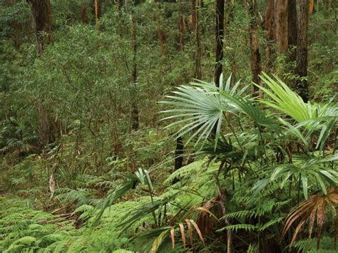 Booti Hill And Wallis Lake Walking Track In Booti Booti The Fold Your Guide To Everything