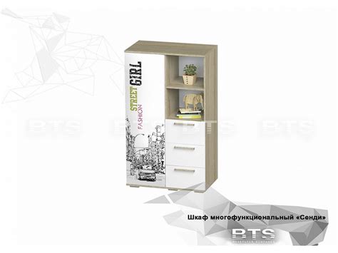 Купить Шкаф Сенди девочка ШК 10 Bts по цене 14110 руб в Новосибирске в интернет магазине