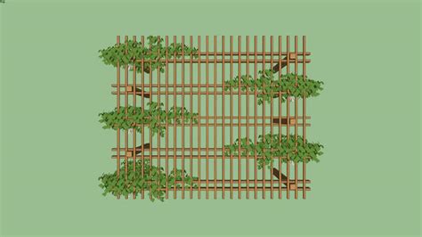 Vine Pandol 3d Warehouse