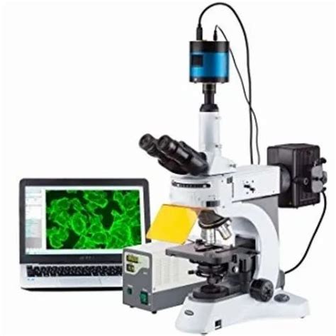 Inverted Fluorescent Microscope At ₹ 250000unit Fluorescent