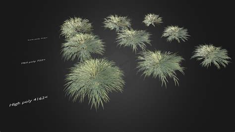 Hakonechloa Macra 3d Model By Livin Vision Livinvision 2e133bf Sketchfab
