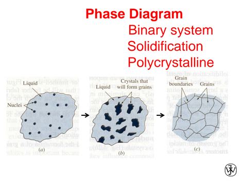 SOLUTION Phase Diagrams Full Explanation Studypool