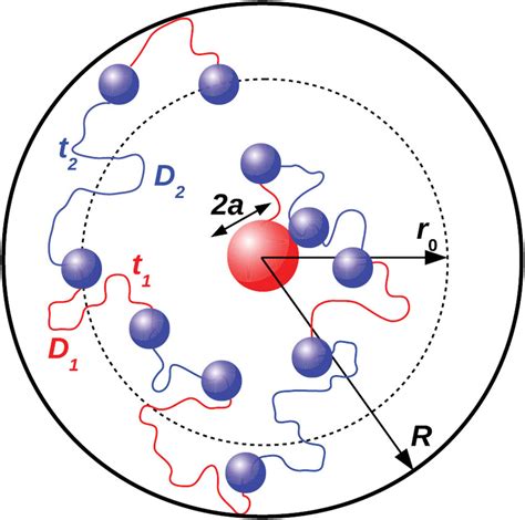 Schematic Of The Model System A Particle Performs 3d Brownian Motion Download Scientific