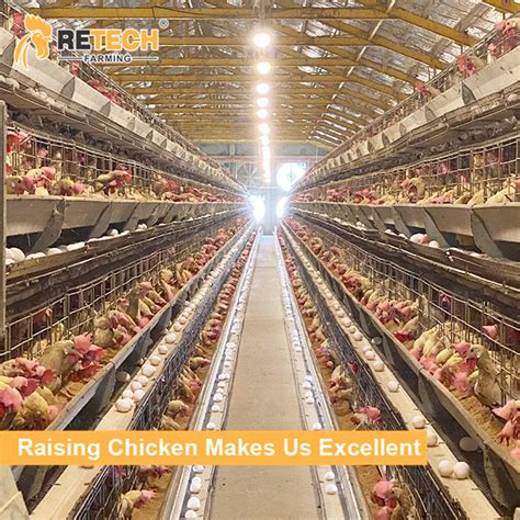 Poultry Battery Equipment A Type Layer Cage Automatic Layer And Broiler