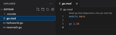Golang Vscode Myapollo