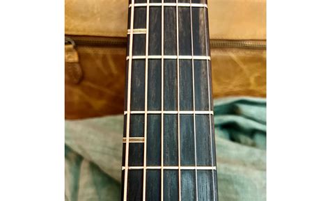 Raising The Bar Fg9 Acoustic Guitars
