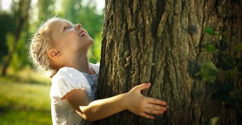 Tree Care In Vancouver WA Pa S Tree Service