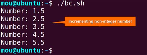 How To Increment Number Using Bash While Loop 8 Methods LinuxSimply