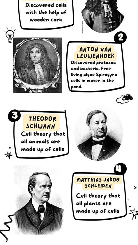 Discovery Of Cell Biology Notes Cell Theory Robert Hooke