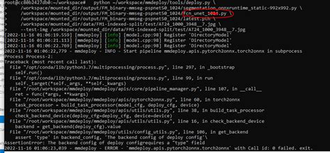 Mmseg Model In Docker `mmdeployapispytorch2onnxtorch2onnx` With Call