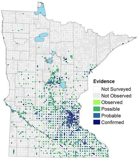 Northern Cardinal Minnesota Breeding Bird Atlas
