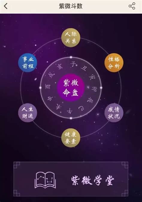 因婚姻而贵的紫微命盘 当富太太的紫微命格 紫微命盘 大山谷图库
