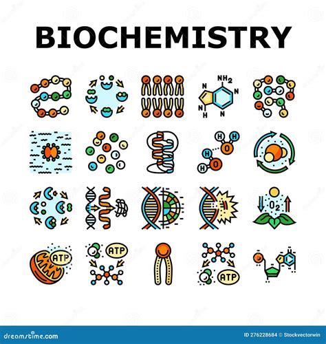 Biotechnology Chemistry Science Icons Set Vector Stock Illustration