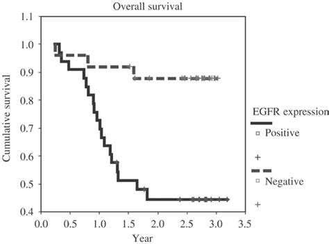 Kaplanmeier Overall Survival Curves According To Egfr Overexpression
