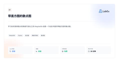 带直方图的散点图 可视化数据关系 Labex