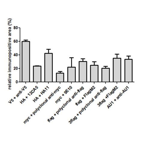 Quantification Of Detection Of Tag EGFP Constructs Proportion Of The