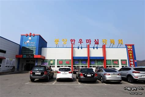 의성맛집 봉양맛집 싸고 질 좋은 소고기 맛집 봉양한우마실작목회 네이버 블로그