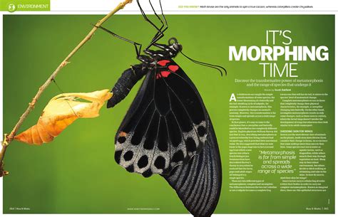 Exclusive Extract Metamorphosis How It Works