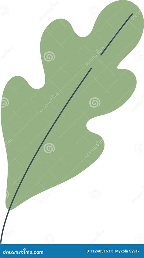 Oak Tree Leaf Stock Vector Illustration Of Natural 312405163
