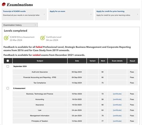 Thirteen Months Ago I Embarked On My Apprenticeship In The Public Sector Audit Team Forvis