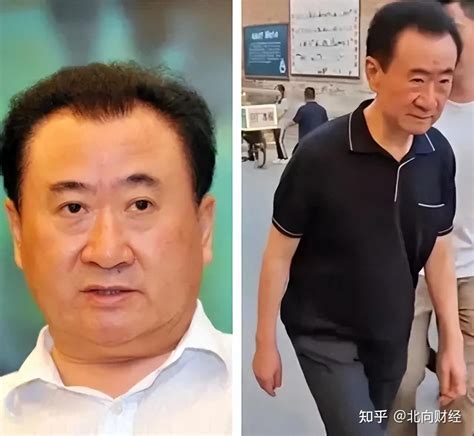 万达上市再次推迟瘦成竹竿的王健林何时能上岸 知乎