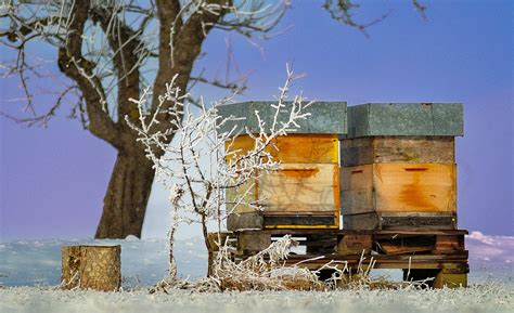 Beefit Beekeeping