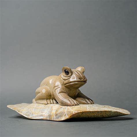 Frog 107 Fossil And Stone