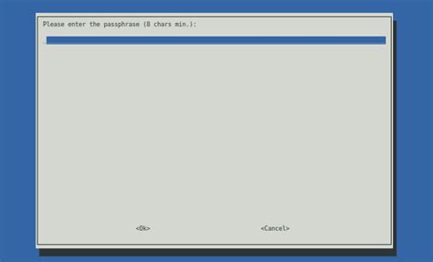 Linux Mint Installation With ZFS Root