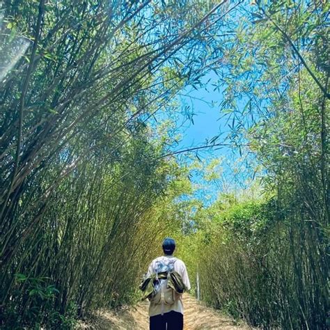 Oops Oops Ryan • Threads Say More