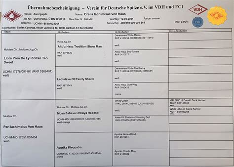 Corunga Wolle Wolfhaus Unser Spitz