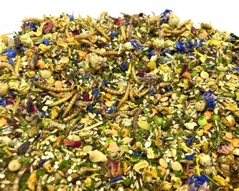 Chubby Hamster Cheeks Dwarf Chinese Hamster Seed Mix G Etsy