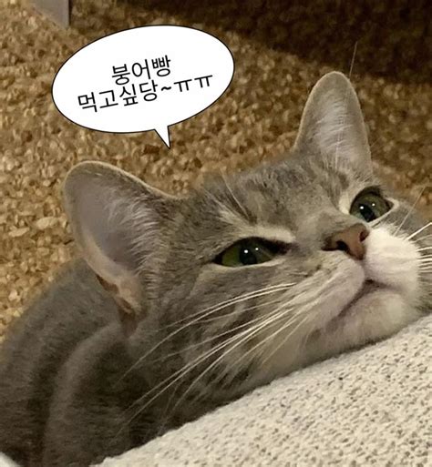 ปักพินโดย ٩๑ `ȏ´๑۶ ใน 짤 พื้นหลัง