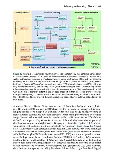Wildlife And Windfarms Offshore Monitoring And Mitigation 9781784271312 Pelagic Publishing
