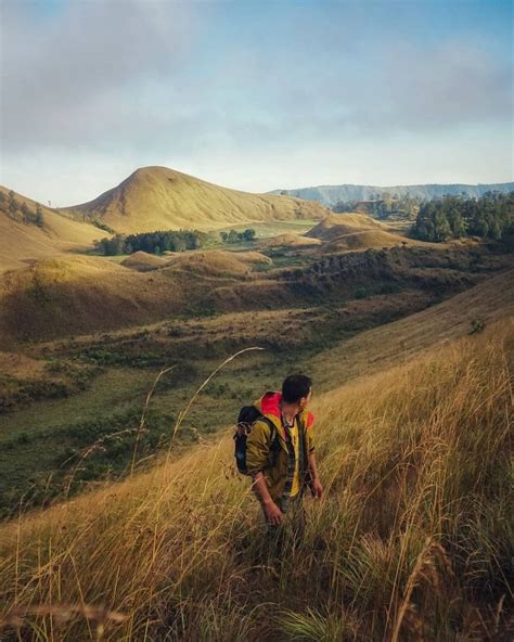 60 Pemandangan Indah Di New Zealand Zonegambarku